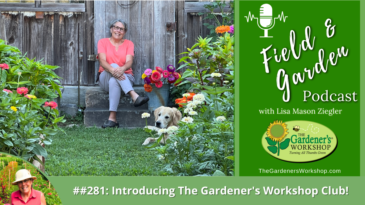 #281: Introducing The Gardener's Workshop Club!