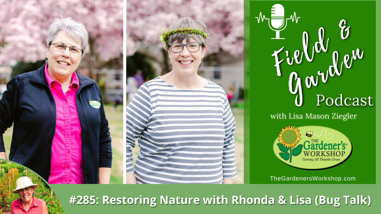 #285: Restoring Nature with Rhonda & Lisa (Bug Talk) – The Gardener's ...