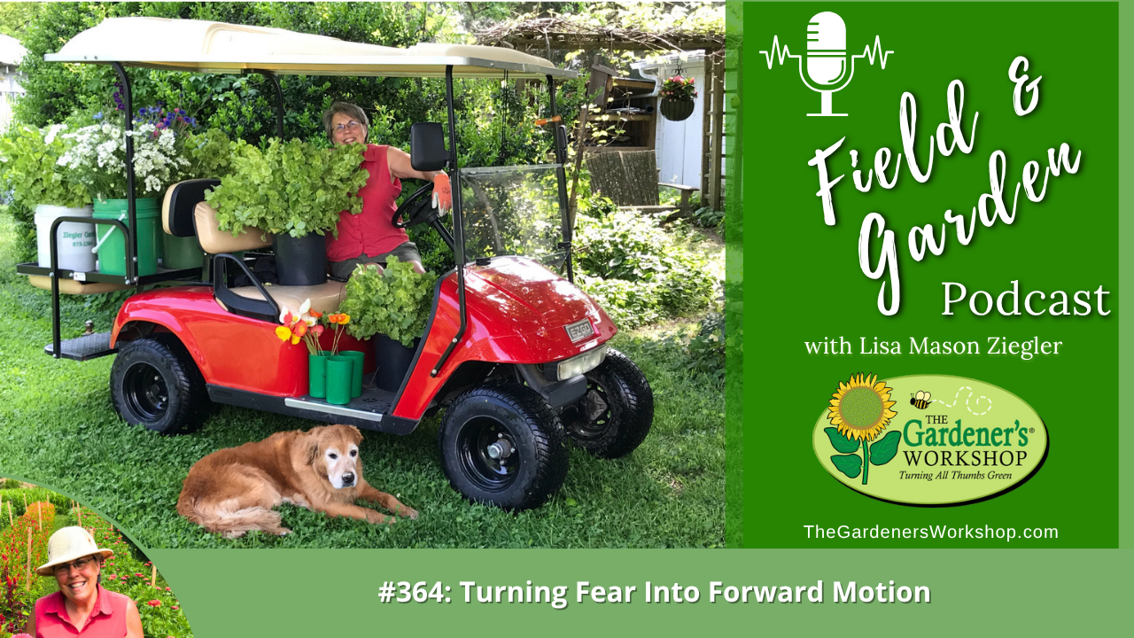 #364: Turning Fear Into Forward Motion – The Gardener's Workshop