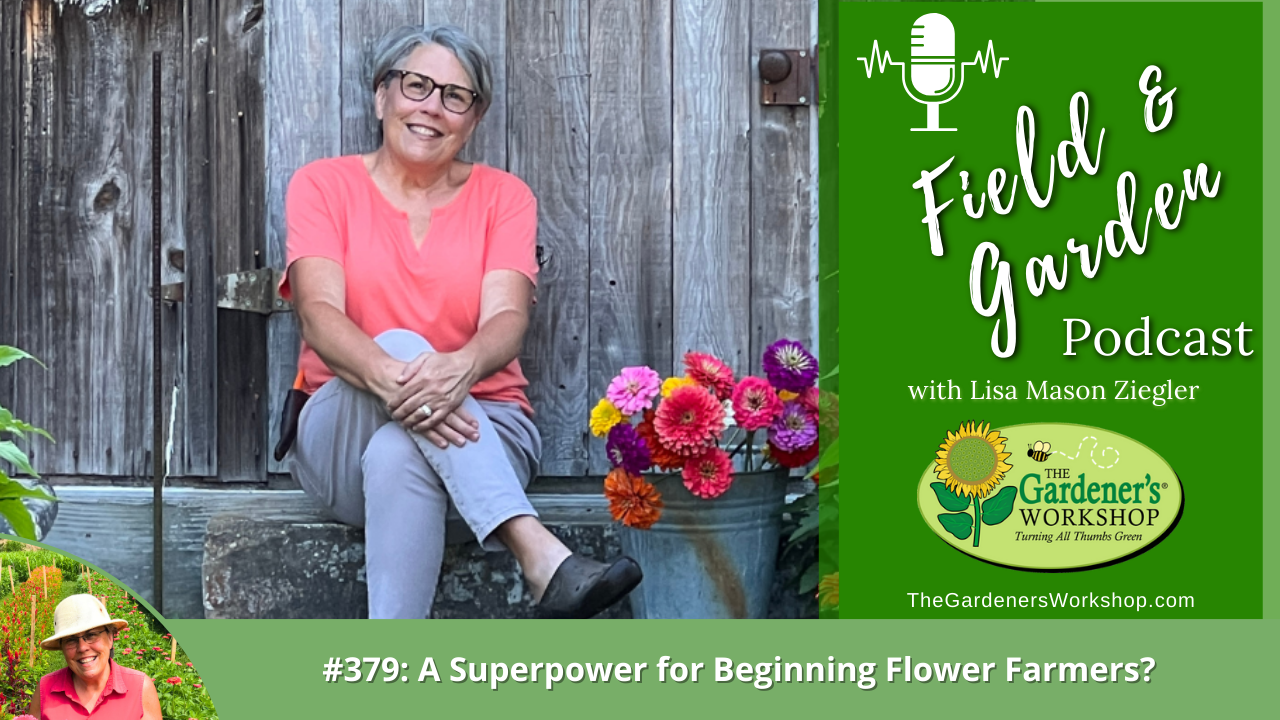 #379: A Superpower for Beginner Flower Farmer – The Gardener's Workshop