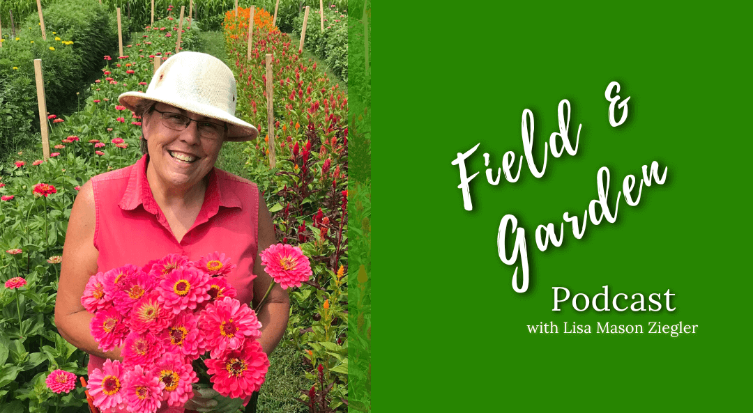 #189: Seed Talk with Lisa & Layne is now its own podcast ...