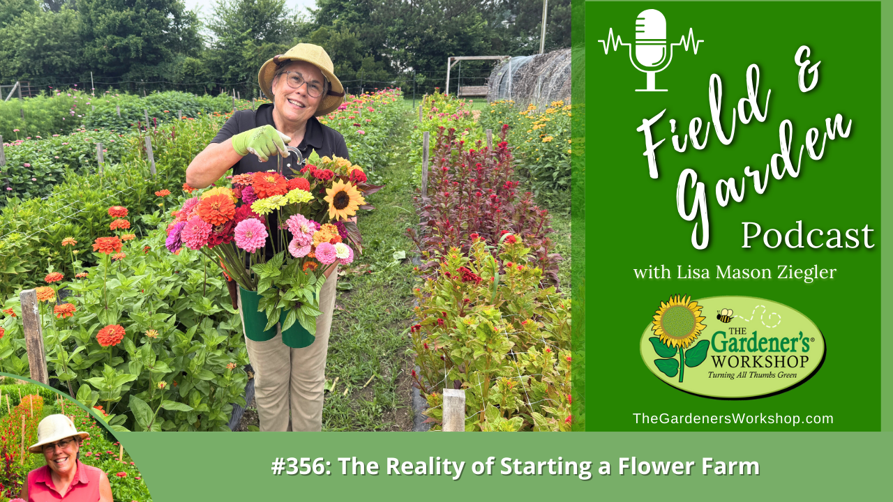 #356: The Reality of Starting a Flower Farm – The Gardener's Workshop