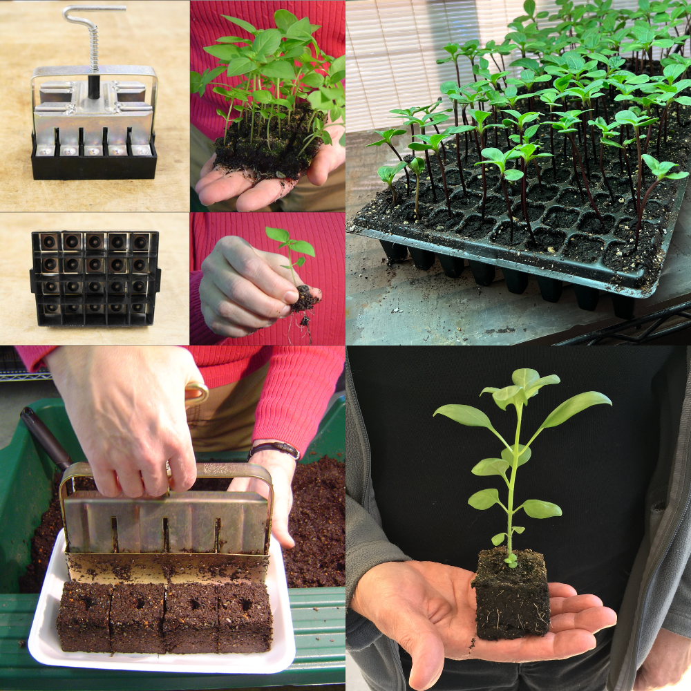 Seed Starting with Soil Blocking - The Gardener's Workshop – Page 4 ...