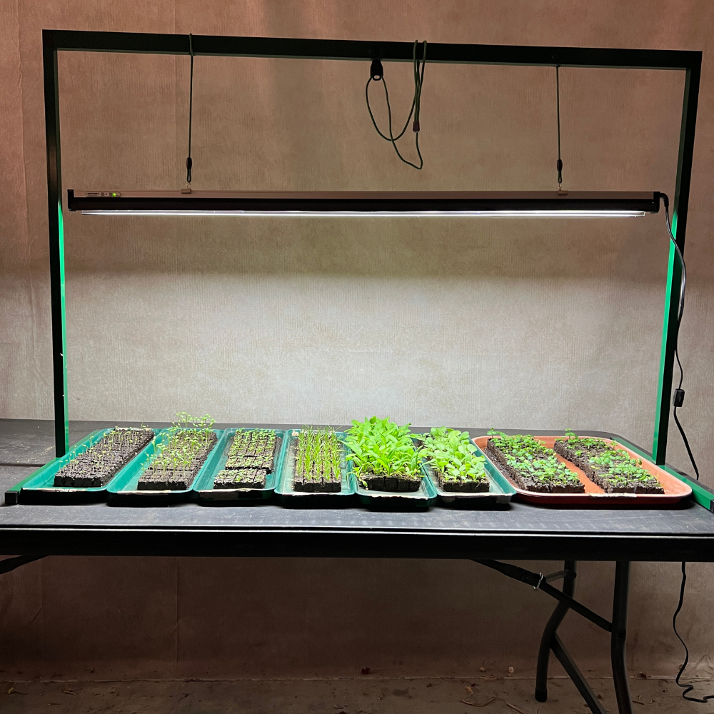 Table Top Grow Light - Seed Starting - The Gardener's Workshop