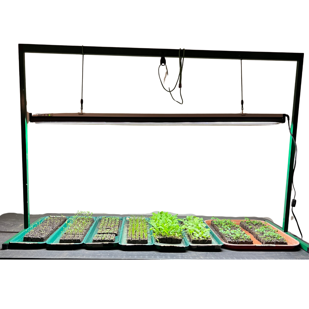 Table Top Grow Light - Seed Starting - The Gardener's Workshop