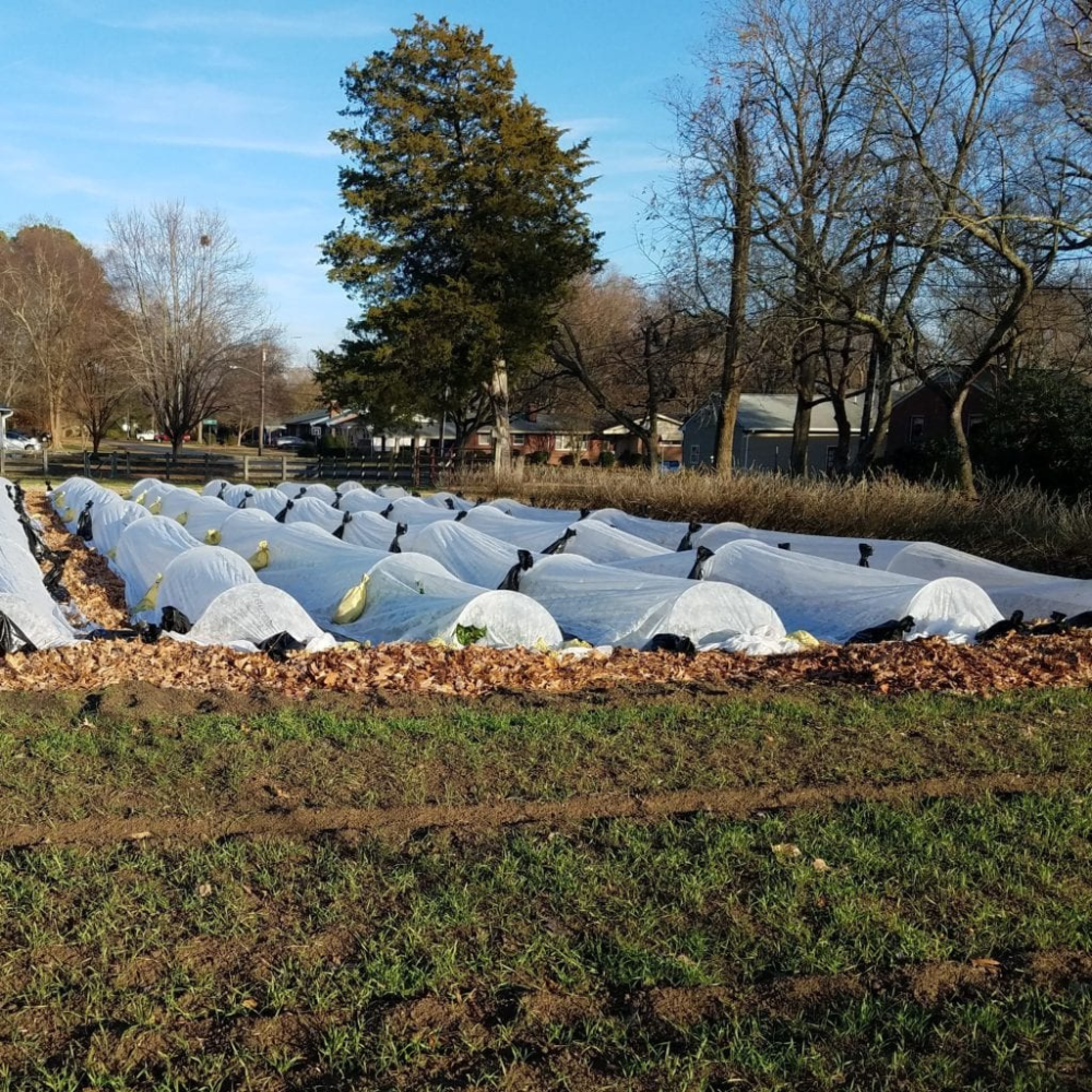 Row Cover Kit - The Gardener's Workshop