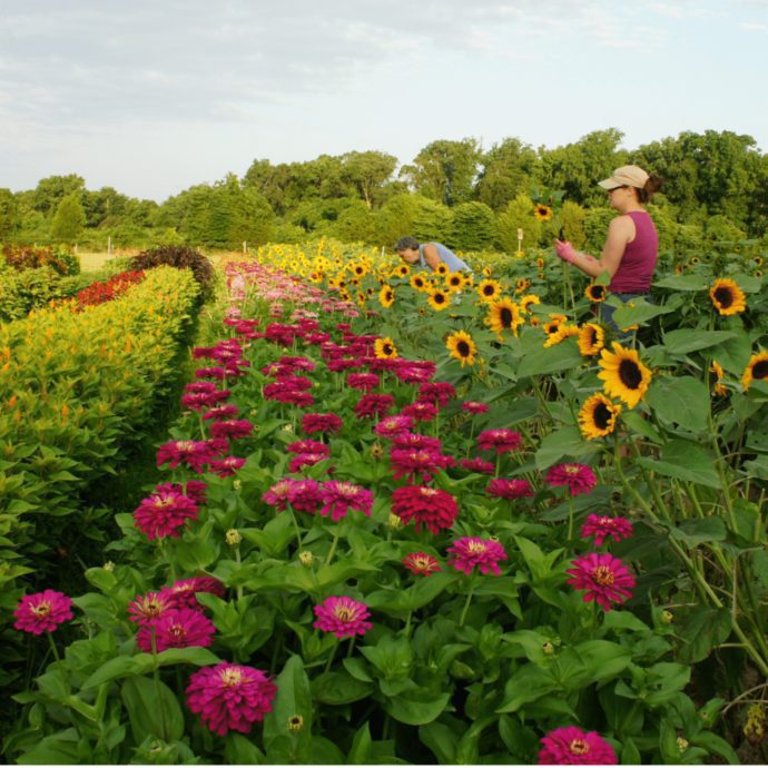 Free Resources – The Gardener's Workshop