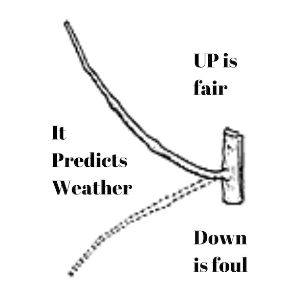 Weather Stick – The Gardener's Workshop