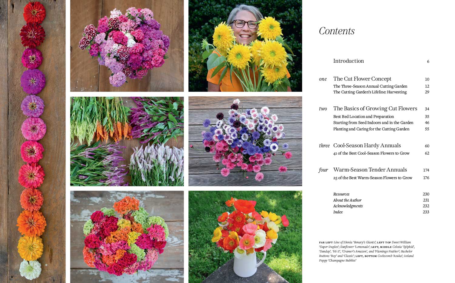 Book, The Cut Flower Handbook - The Gardener's Workshop