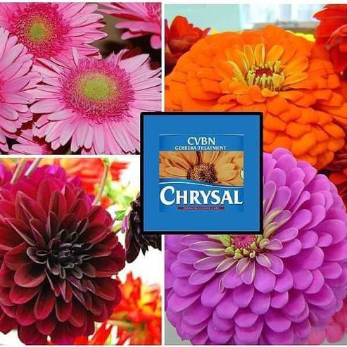 CVBN Tab Treatment - flower food - The Gardener's Workshop