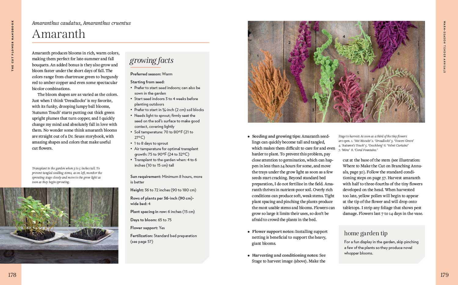 Book, The Cut Flower Handbook - The Gardener's Workshop