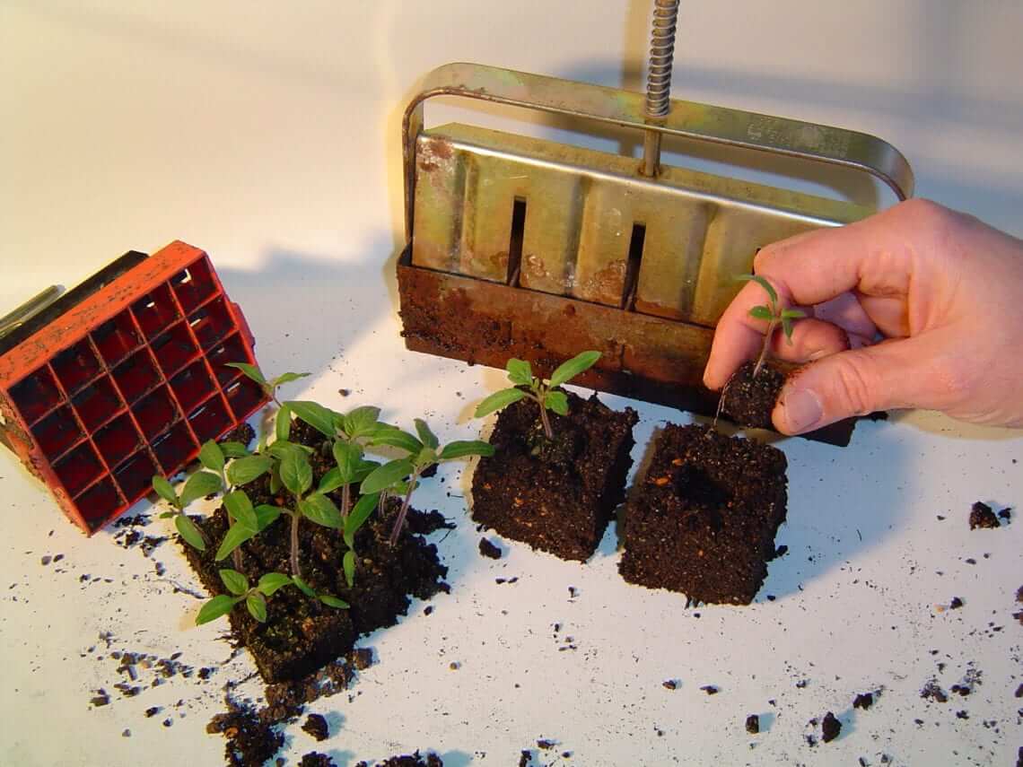 Inserts for Large Soil Blocker - The Gardener's Workshop