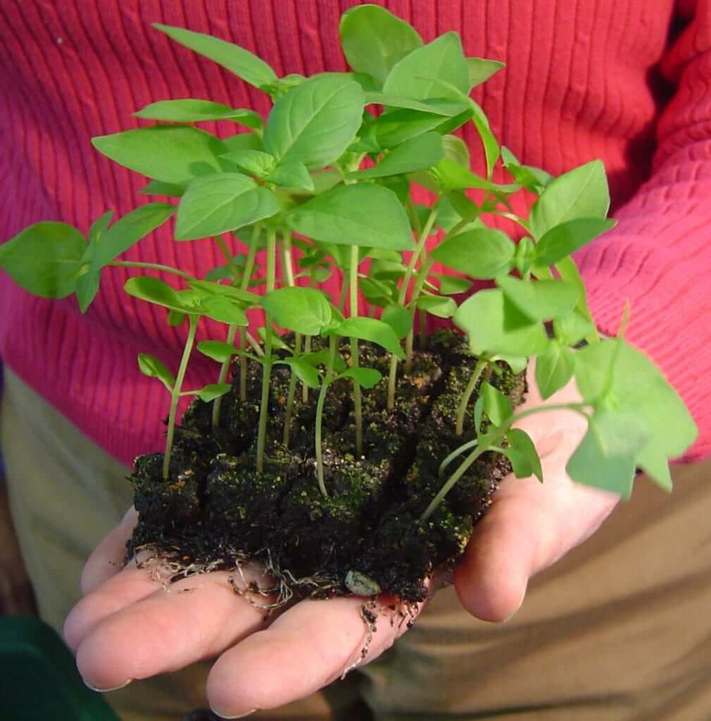 Free Resources – The Gardener's Workshop