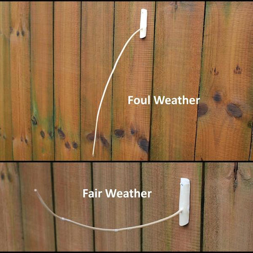 Weather Stick – The Gardener's Workshop