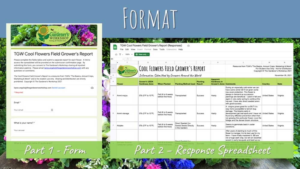 Flower Farming School Online: The Basics, Annual Crops, Marketing, and ...